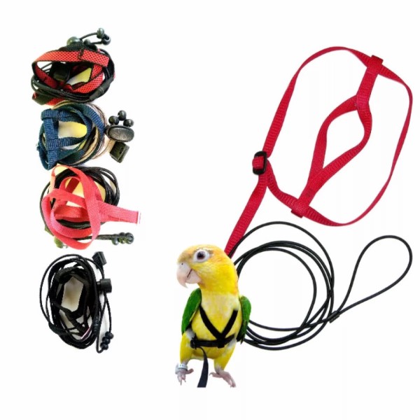 Adjustable Bird Aviator Harness Leash for Small Birds BD