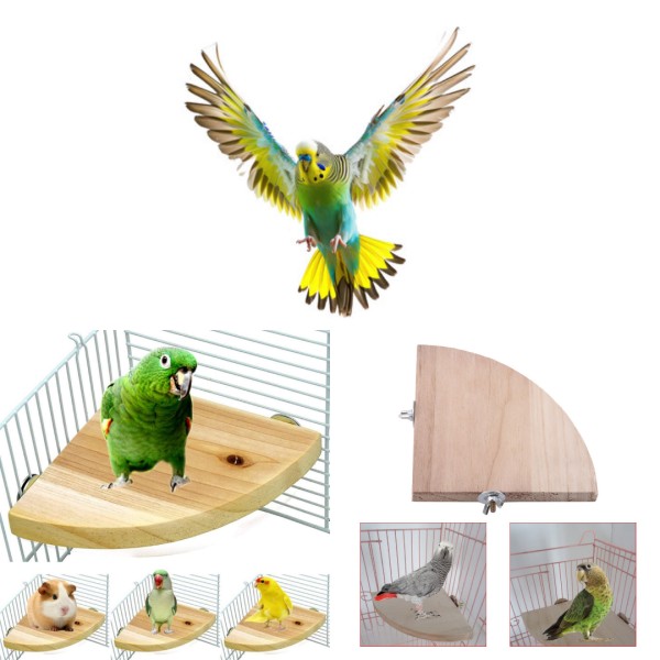 Bird Corner Perch Tool 5 Inches for Cage Birds | Bangladesh